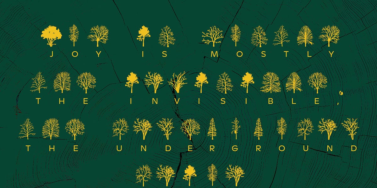 Branch Library - by Brian Sholis - Frontier Magazine