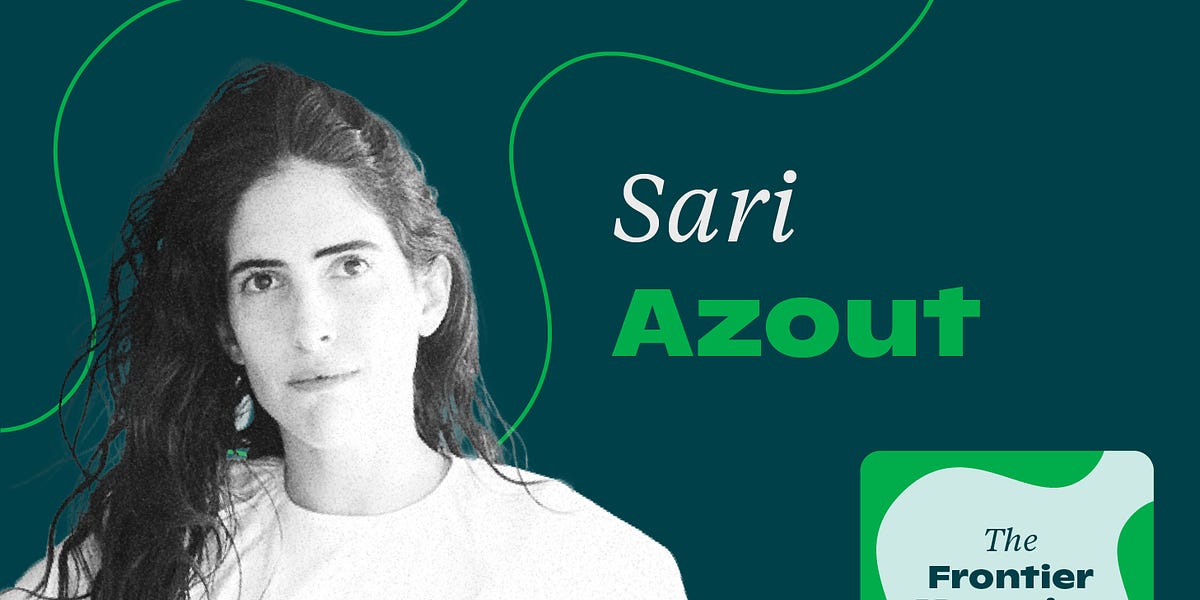 Sari Azout - by Brian Sholis and Sari Azout